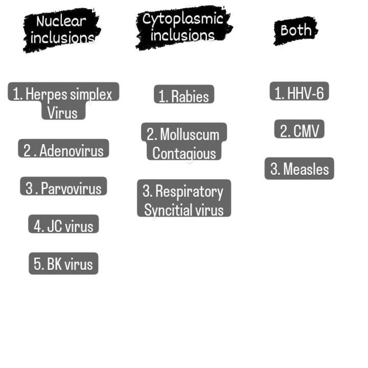 NUCLEAR INCLUSIONS AND PSEUDO-INCLUSIONS - PATHOLOGY MCQs