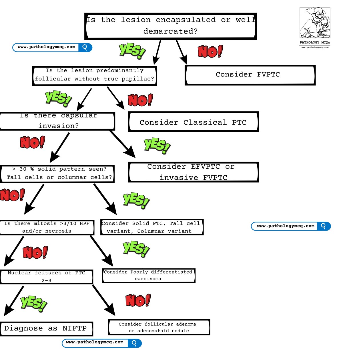 Non-Invasive Follicular Thyroid Neoplasm with Papillary-like Nuclear ...