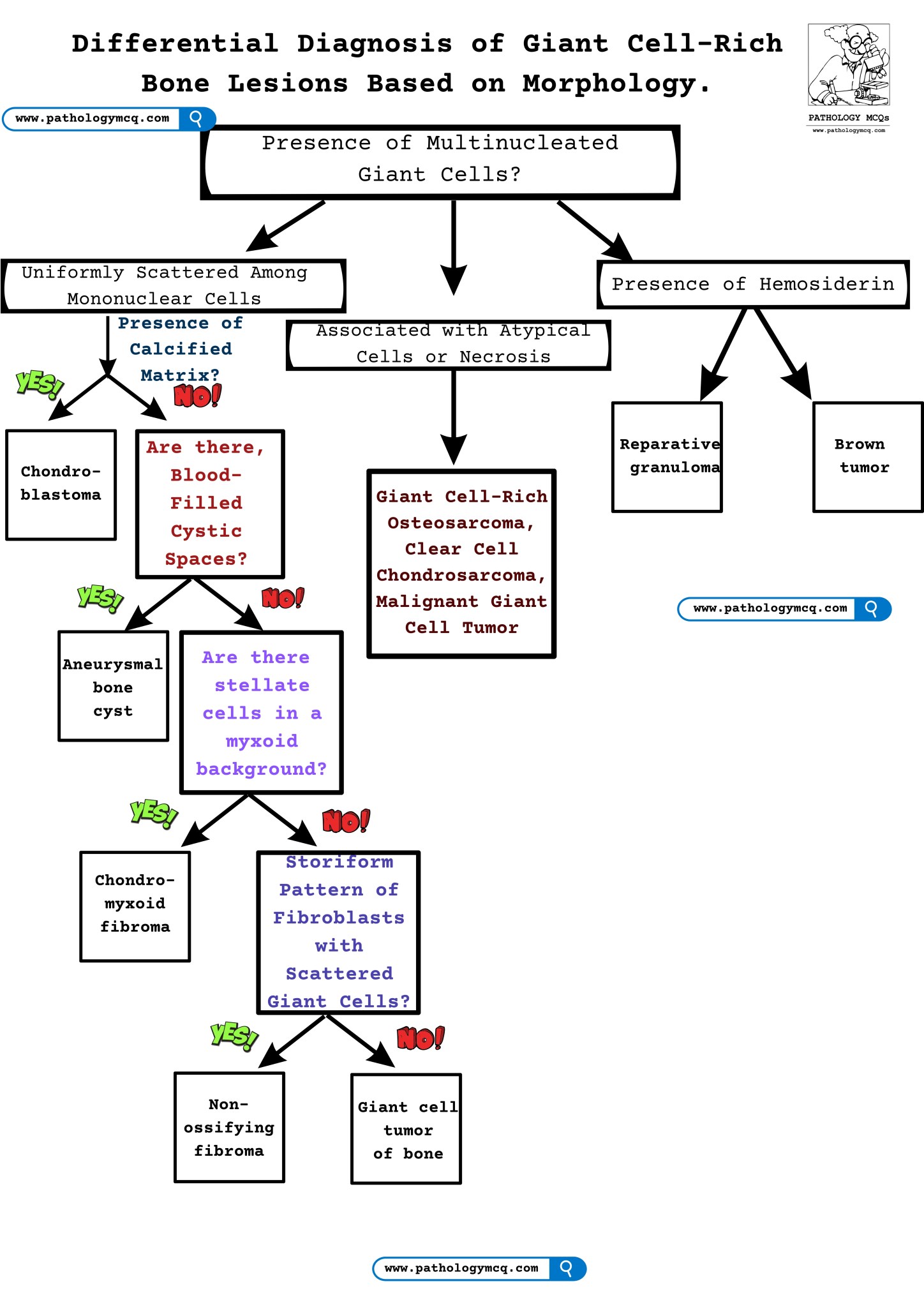 Differential Diagnosis of Giant Cell-Rich Bone Lesions - PATHOLOGY MCQs