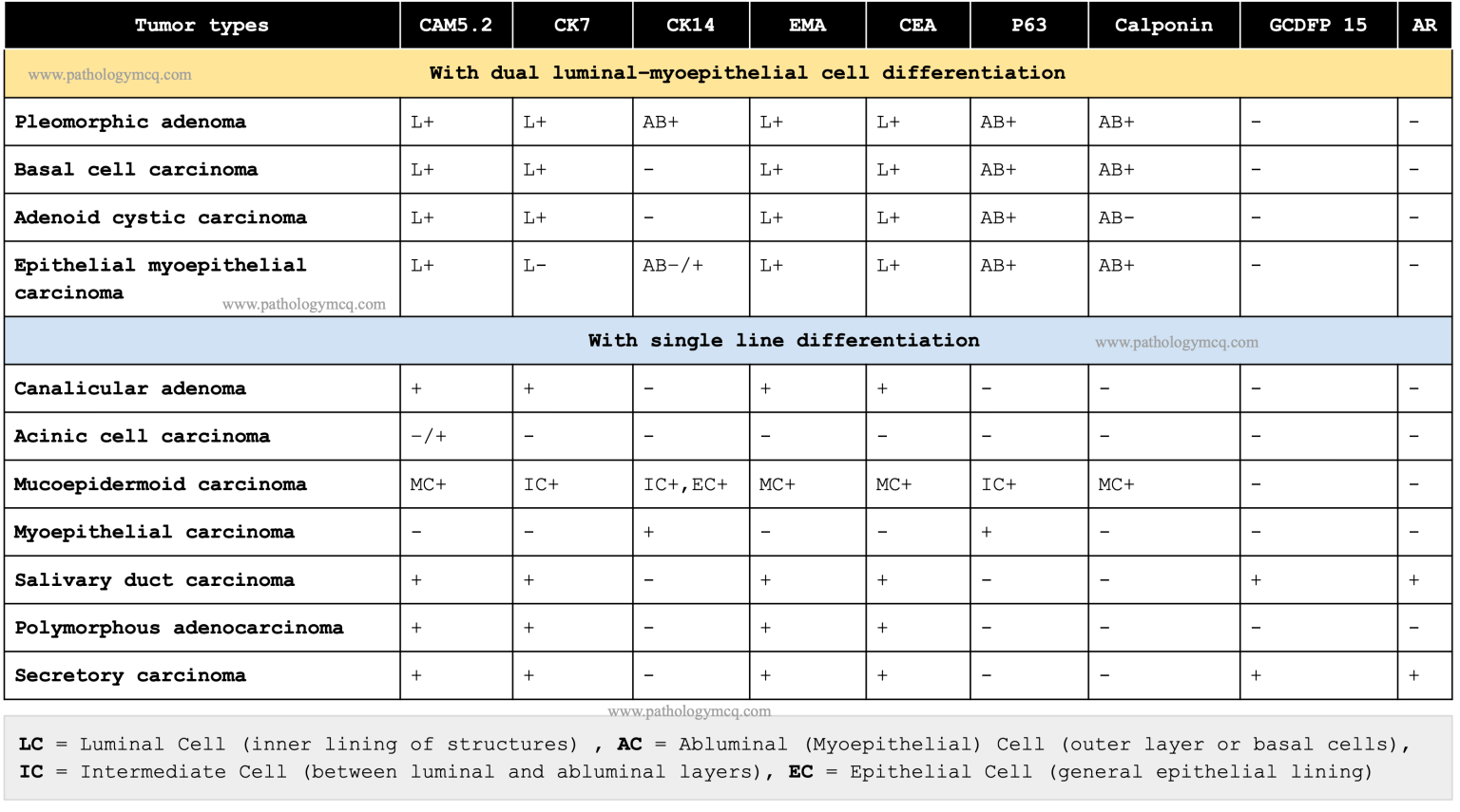 The salivary glands are critical for oral health, responsible for ...