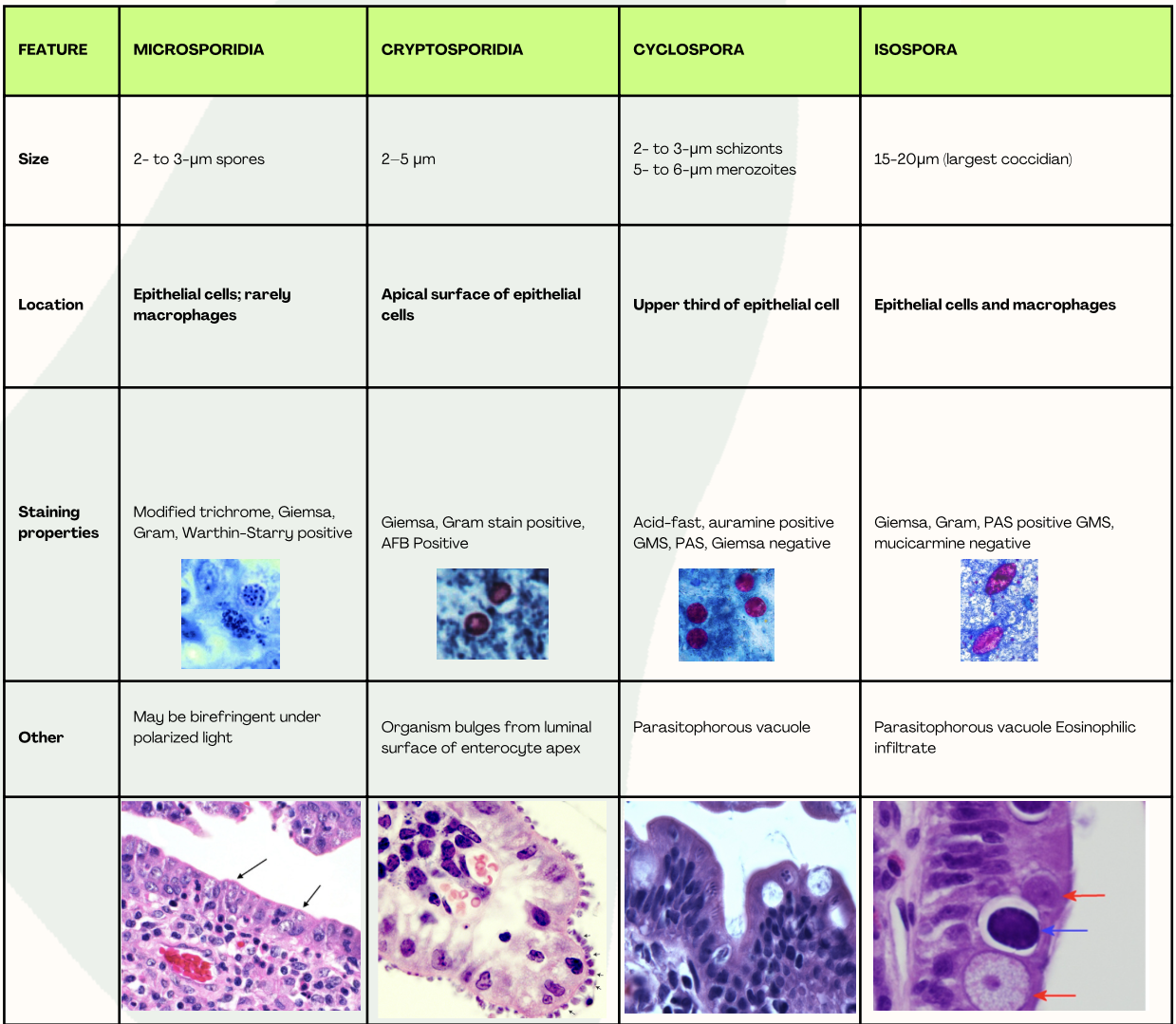 Pathology MCQs for various entrance exams