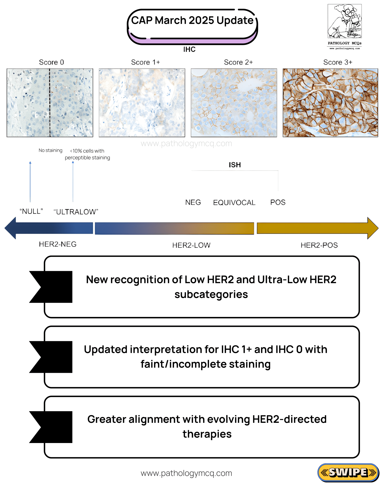 Understanding Low and Ultra-Low HER2 in CAP Guidelines - PATHOLOGY MCQs