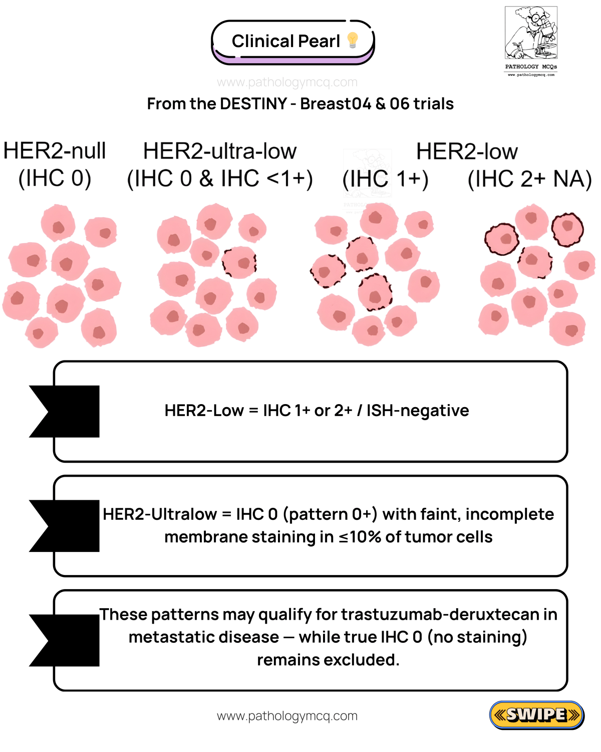 Understanding Low and Ultra-Low HER2 in CAP Guidelines - PATHOLOGY MCQs